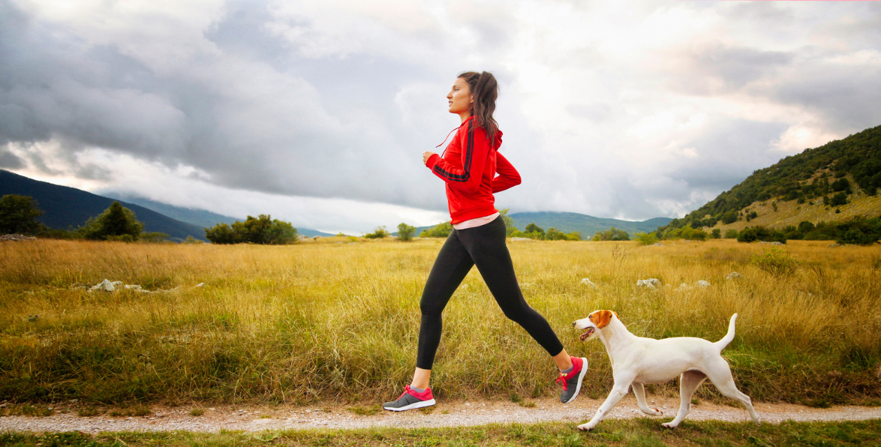 Les animaux de compagnie : un impact positif sur le bien-être